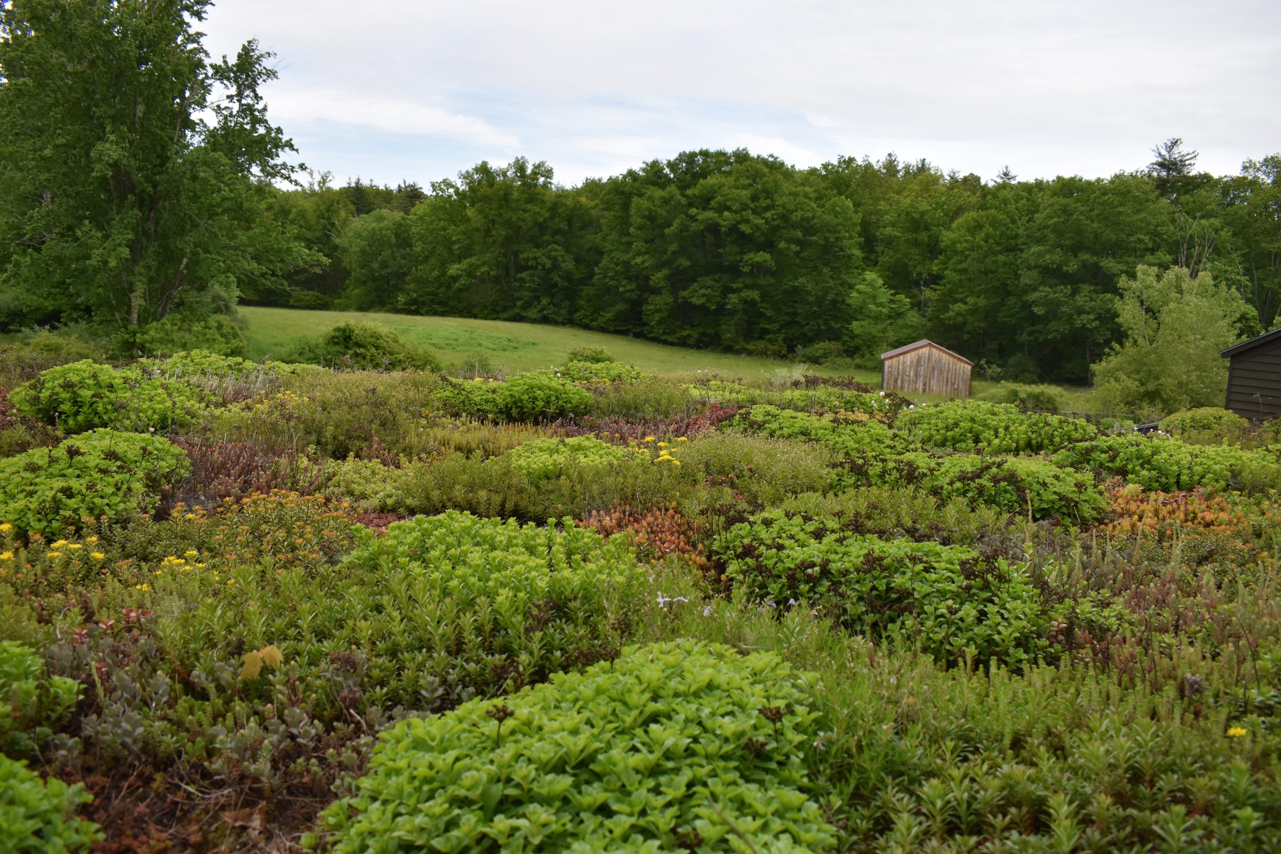 Greener Living, One Roof (or Loaf) at a Time – The Overlook