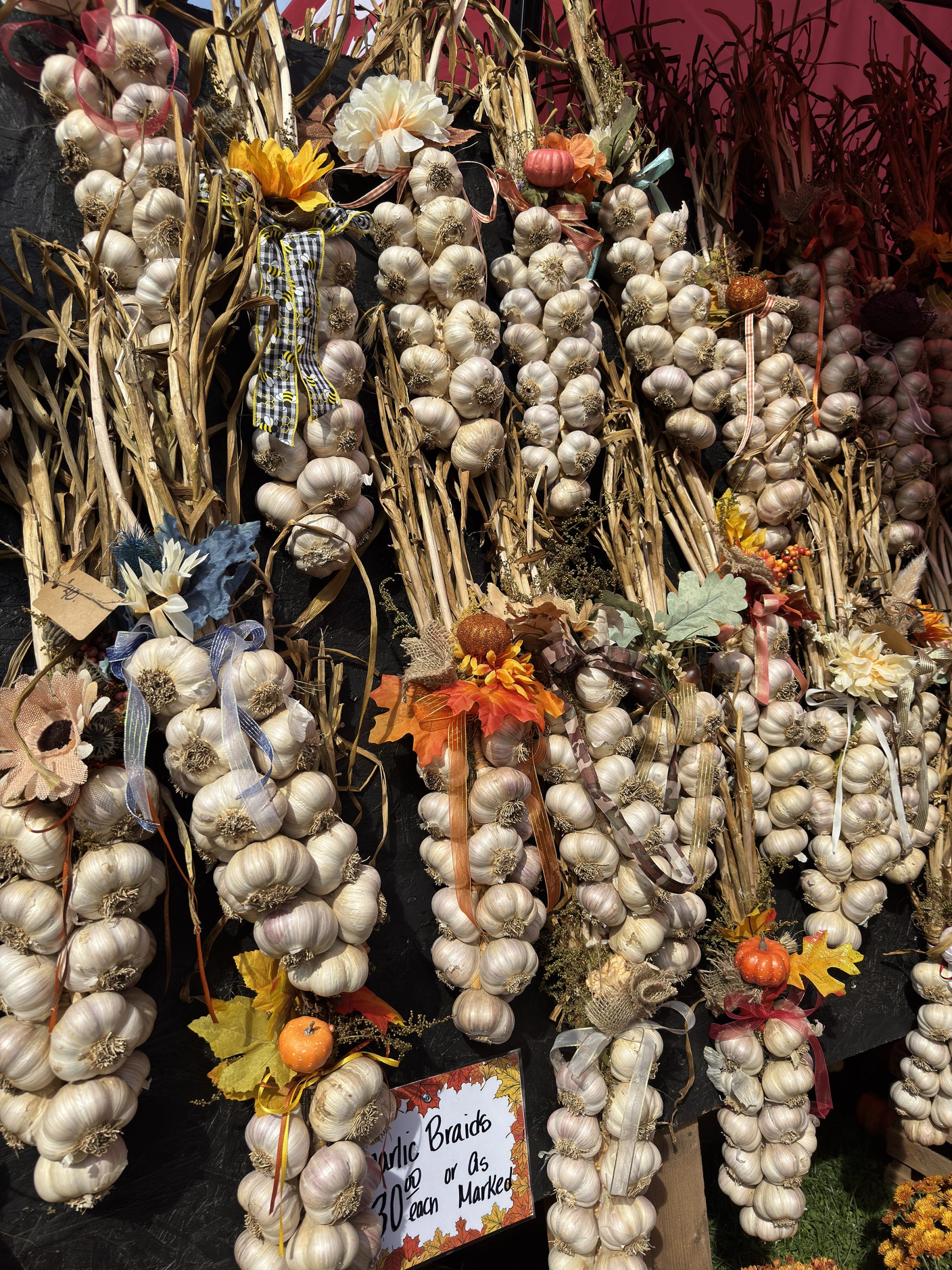Long Garlic Roots in Saugerties – The Overlook
