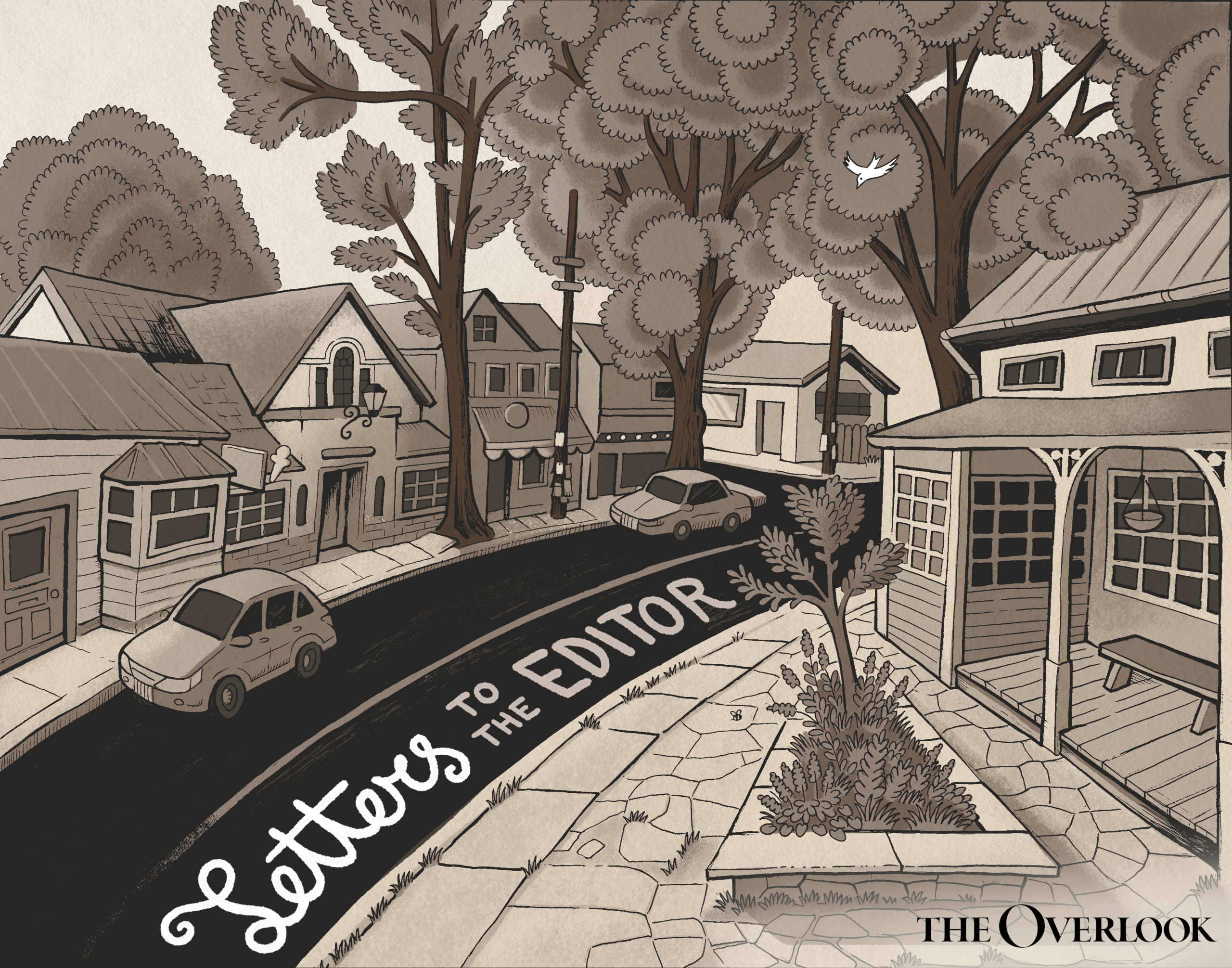 Letters: Community Resilience in Phoenicia – The Overlook